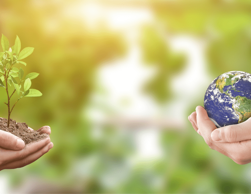 O Que A ISO 14001 Certifica o ISO Meio Ambiente
